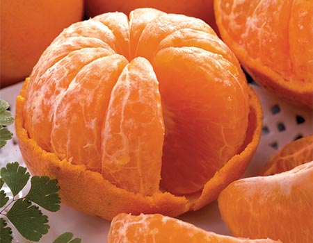 Al's Family Farms Florida Grapefruit, Navel Oranges, Indian River ...