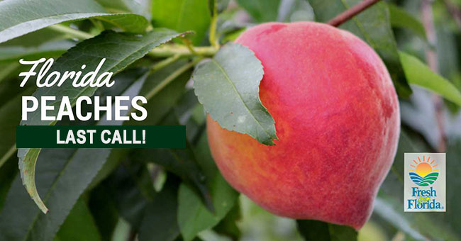 Florida Peaches-Al's Family Farms
