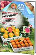 Al's Family Farms Florida Grapefruit, Navel Oranges, Indian River ...